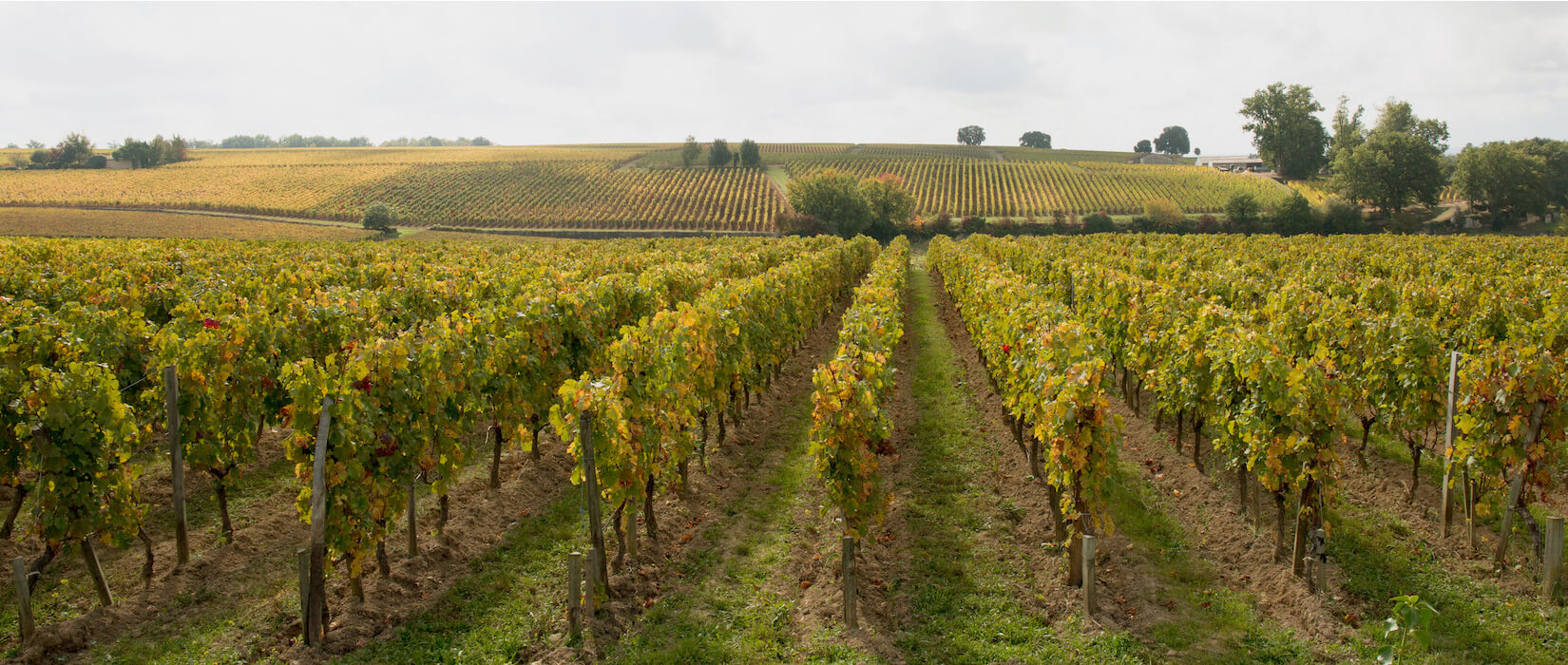 Private Day Trip to Champagne, France - Custom Paris Itinerary Creation Private Day Trip to Champagne, France - Custom Paris Itinerary Creation
