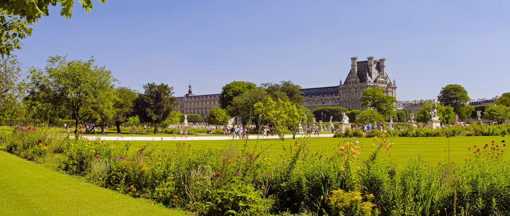 Private Tour of the Louvre to Monet's Waterlillies